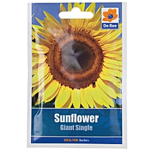 Plants, Seeds & Bulbs | Buy Plants, Seeds & Bulbs Online in Ghana | Jumia