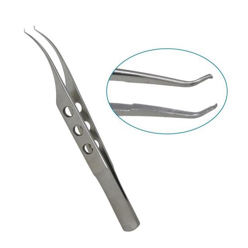 Shop Generic Colibri Forceps Stainless Steel Colibri Beaked Toothed ...